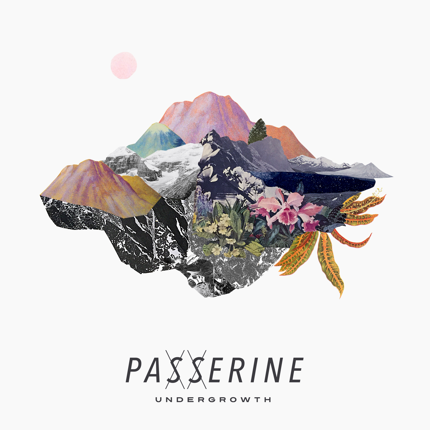 Passerine - ‘Undergrowth’ - Mammal Sounds